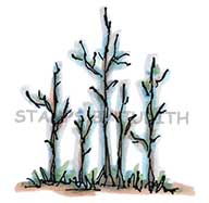 StampsByJudith.com: I-217-HK Birch Tree Cluster