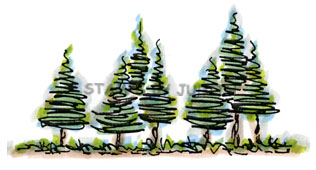 StampsByJudith.com: O-133-HK Scribble Trees